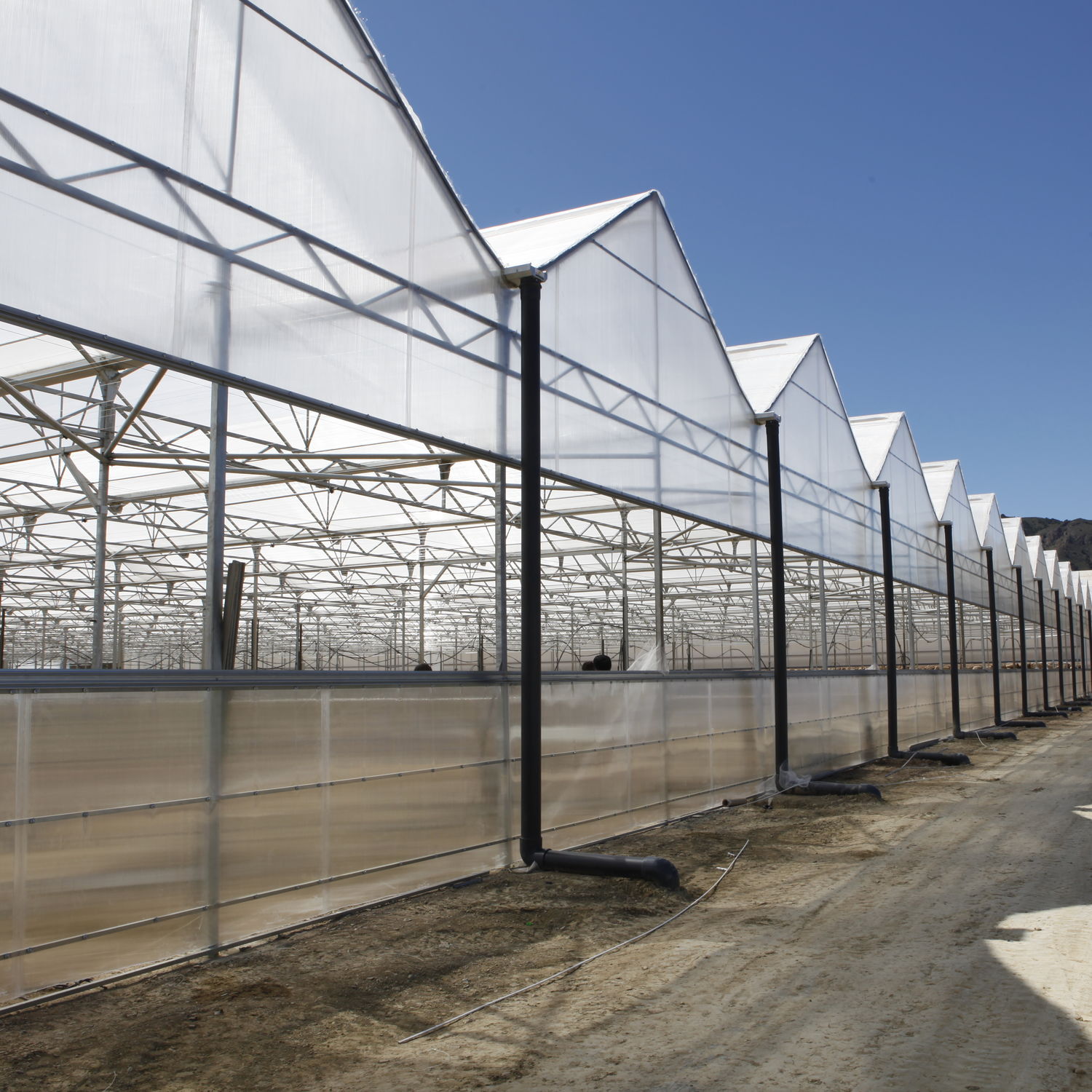 Теплица с несколькими сводами - NEW GROWING SYSTEM S.L. - промышленная ...