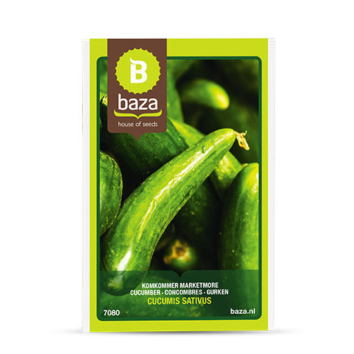 Семена огурцов - 7080 - BAZA Seeds Holland b.v.